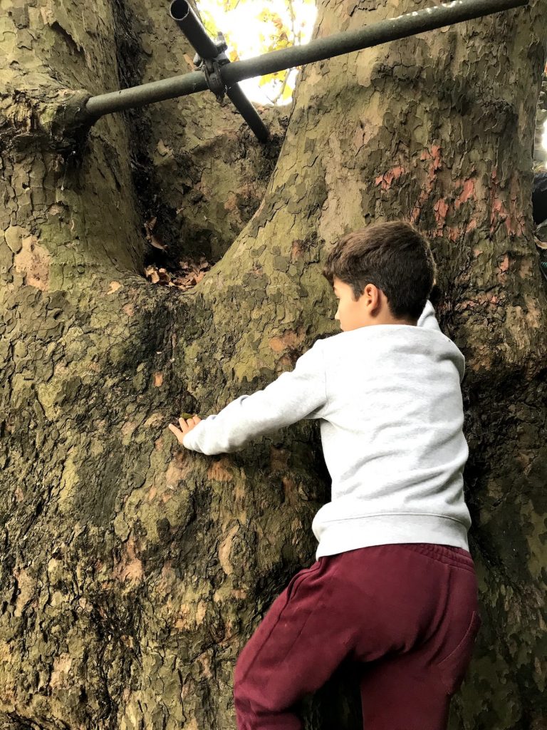 Gallery-Clonlara School